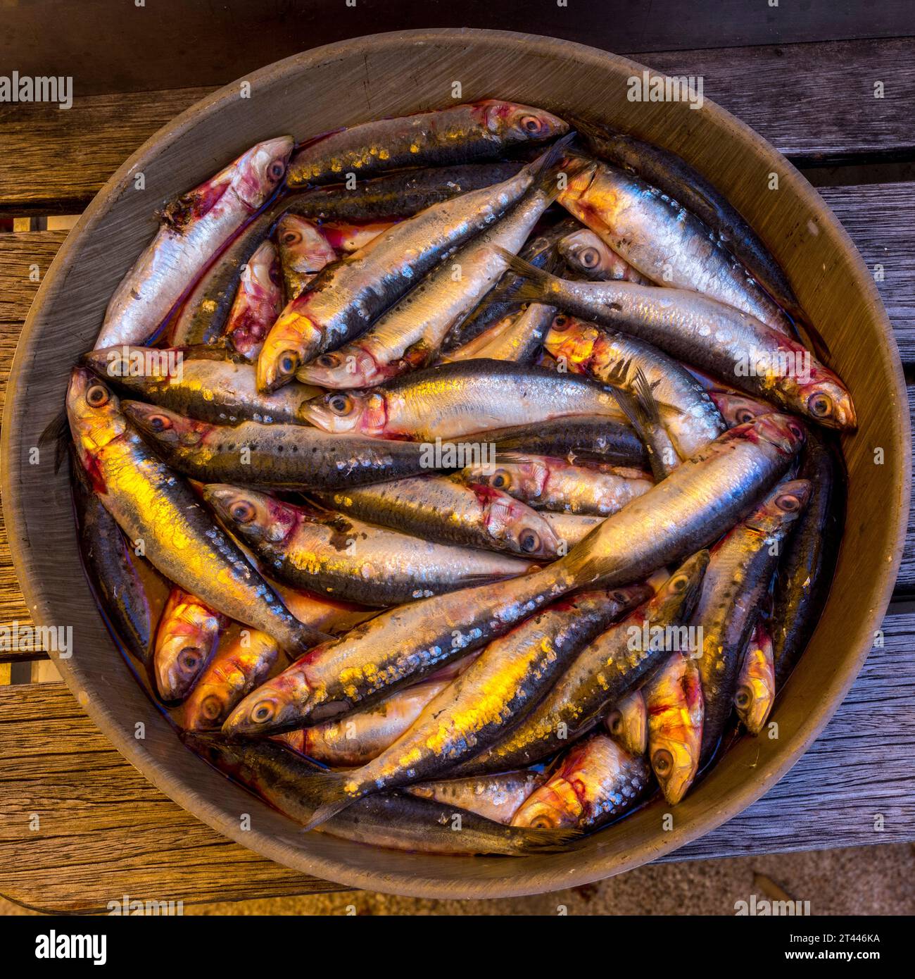 Southern france seafood hi-res stock photography and images - Alamy
