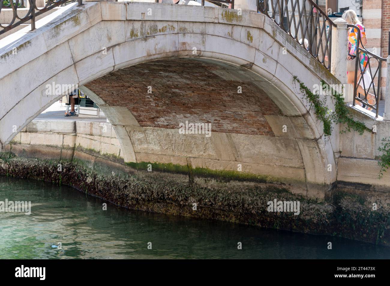 The surrounding feeder canals at low tide lead into the Canal Grande ...