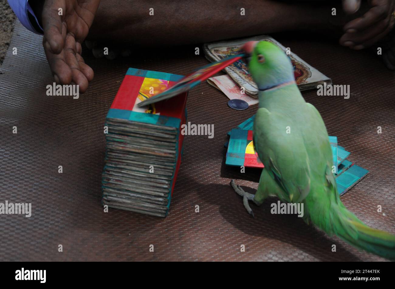 Chilaka hi-res stock photography and images - Alamy