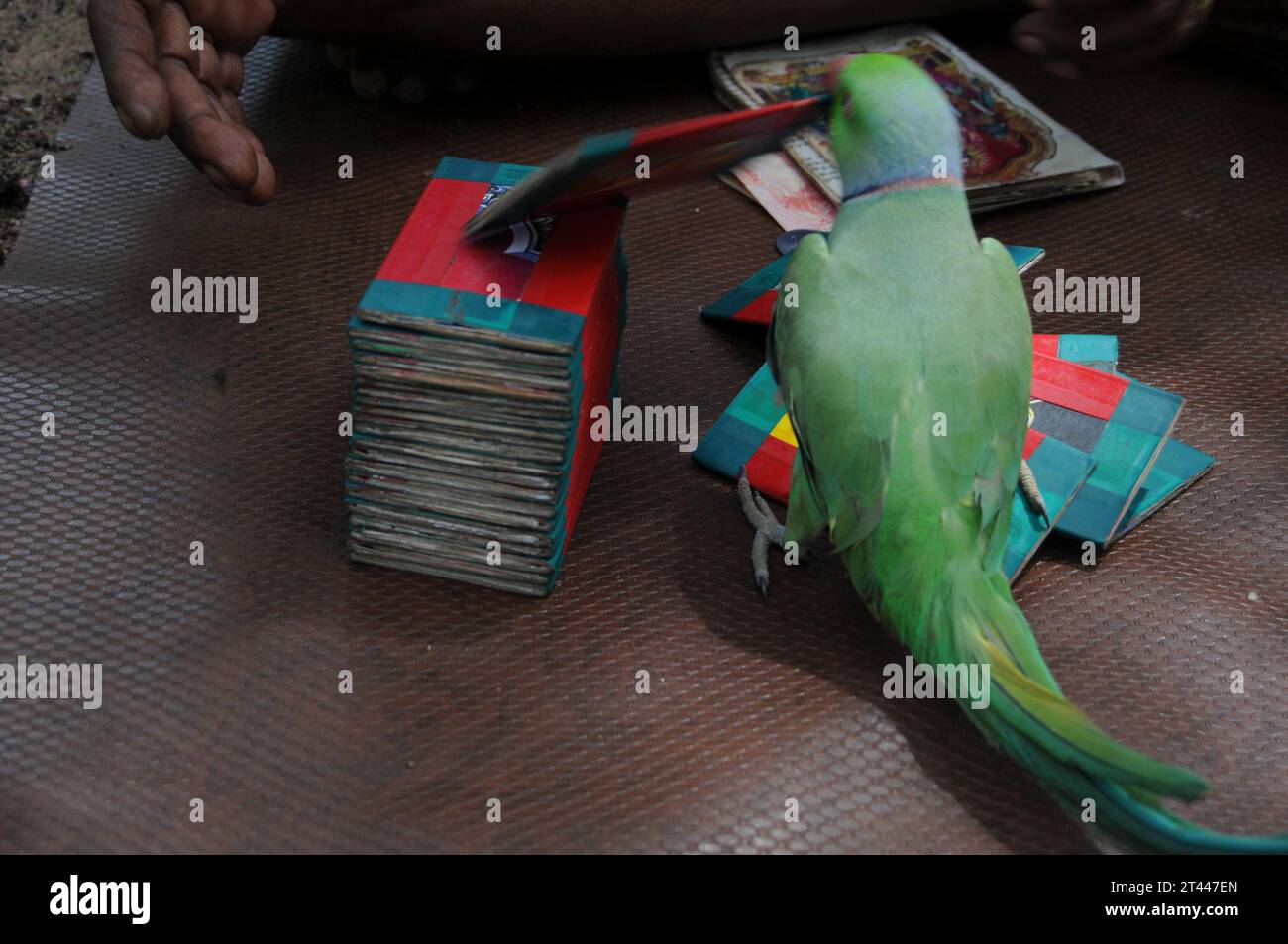 Chiluka hi-res stock photography and images - Alamy