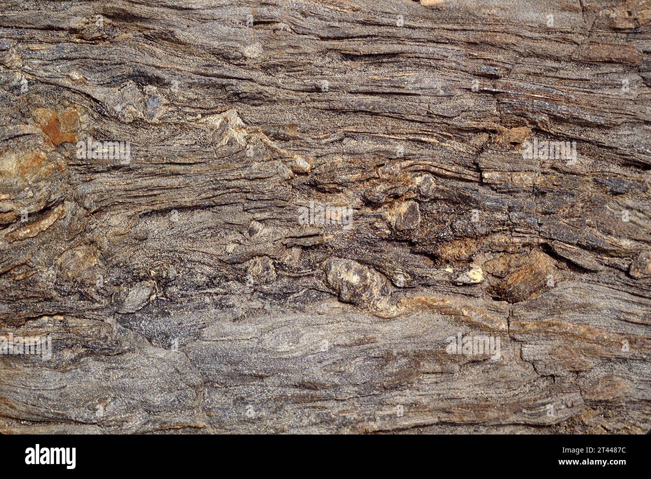 Schistosity Foliation Metamorphic Rock Identification Sample 2