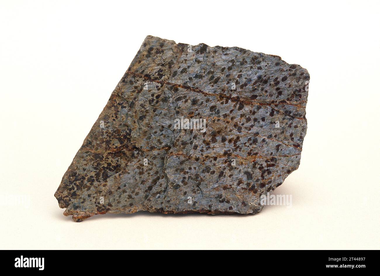 Spotted schist is a metamorphic rock originated by contact metamorphism ...