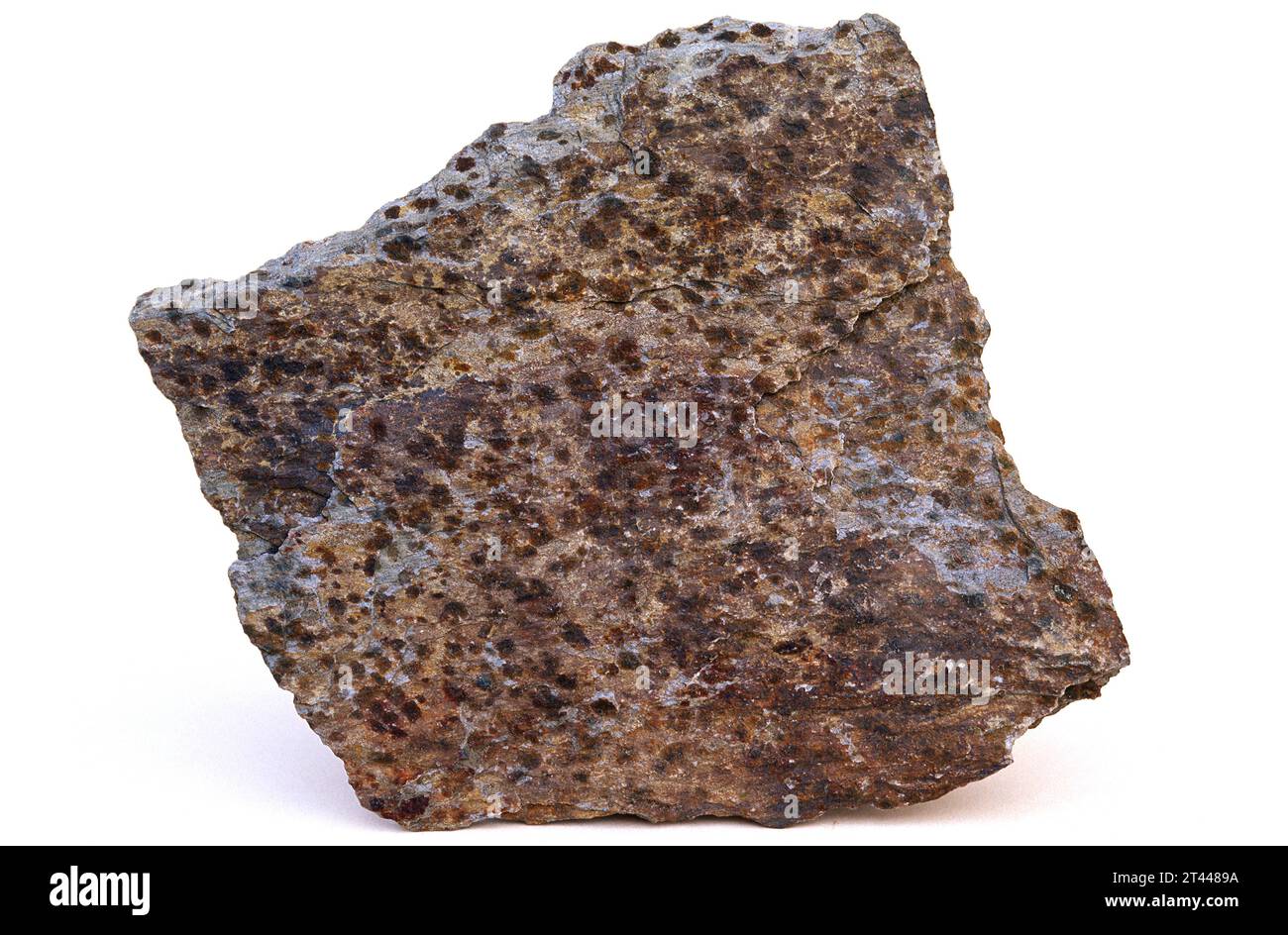 Spotted schist is a metamorphic rock originated by contact metamorphism ...