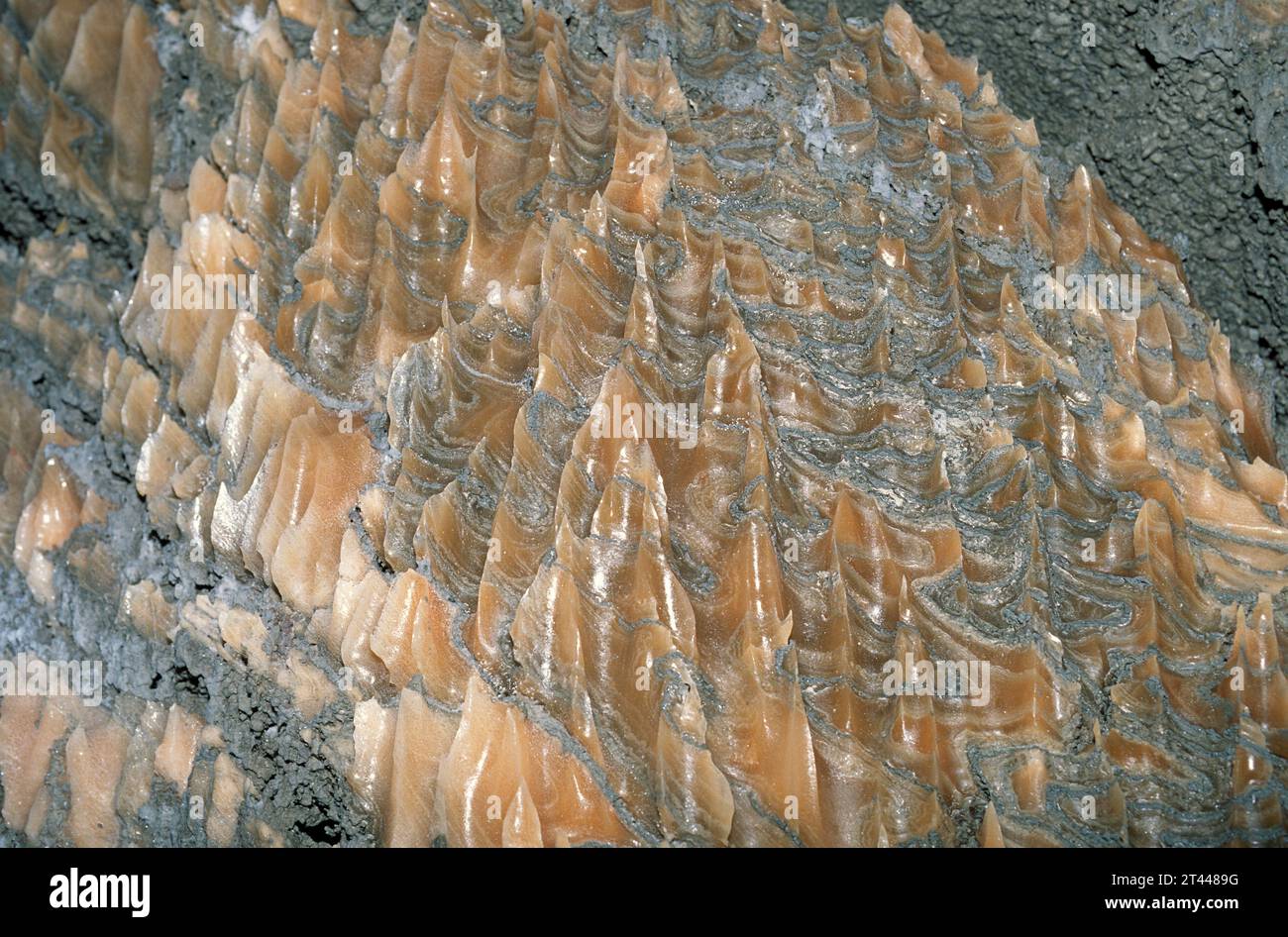 Evaporites are sedimentary rocks formed by precipitation when water ...