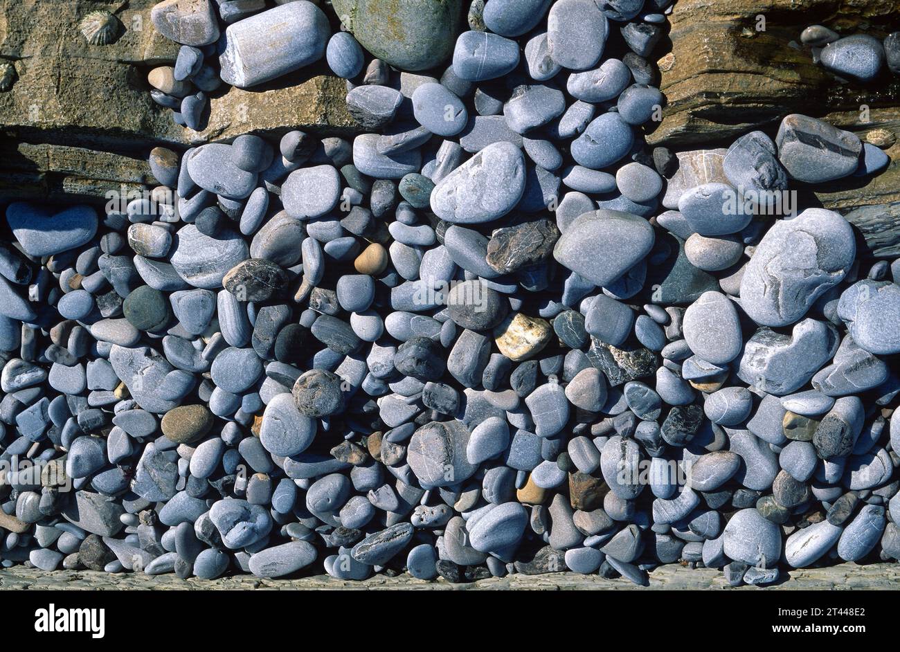 Pebble gravel is a sedimentary deposit of rock fragments Stock Photo ...