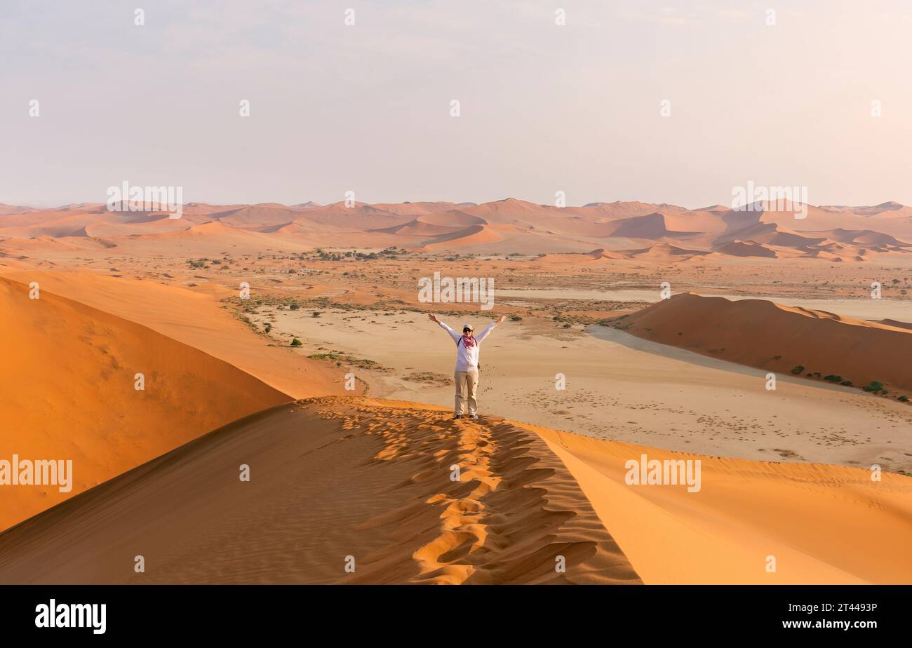 Aerial view of a young tourist with hands up on sand dunes in the Namib ...