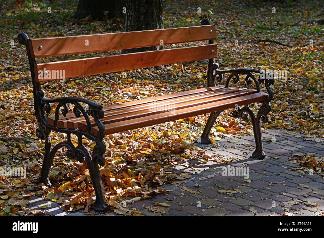 wooden bench in the park Stock Photo - Alamy