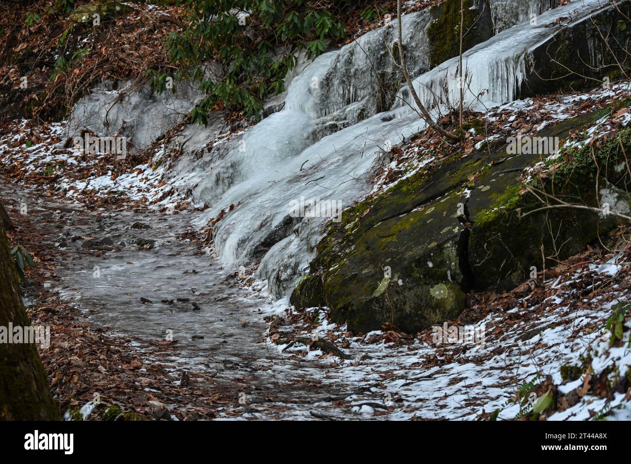 Sheet of Ice Covers Gabes Mountain Trail to Hen Wallow Falls in Great ...