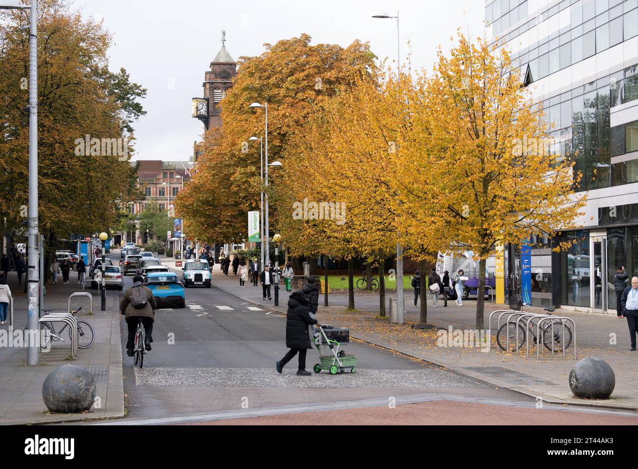 Trees with autumn colour in Jordan Well, Coventry, West Midlands ...