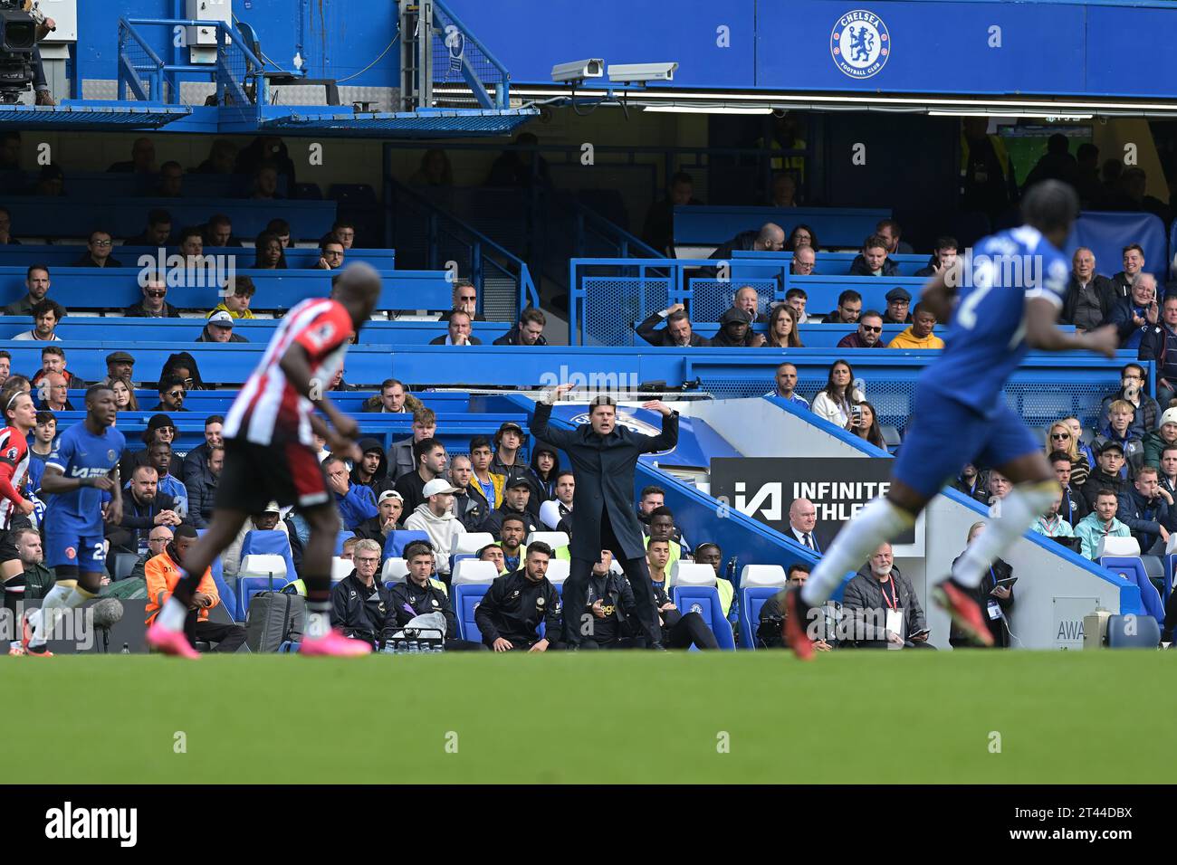 London, UK. 28th Oct, 2023. Mauricio Pochettino Manager of Chelsea ...