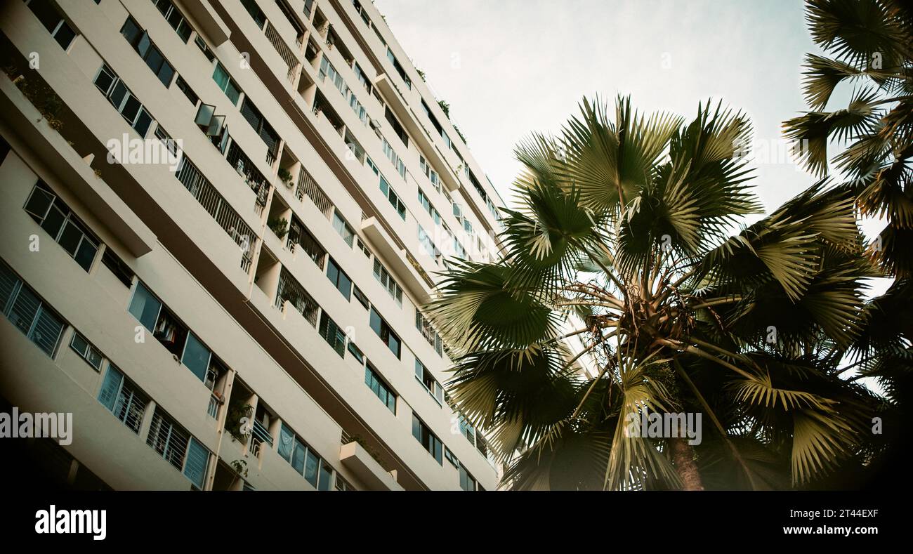 Metropolitan Cityscape: Skyscraping Multi-Storey Building Towering Over ...