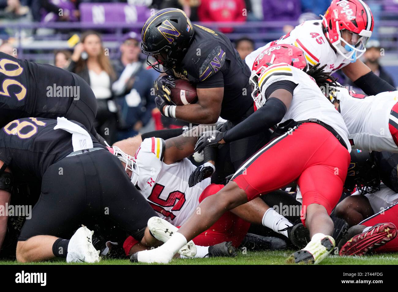 Northwestern running back Cam Porter, top center, dives over the goal ...
