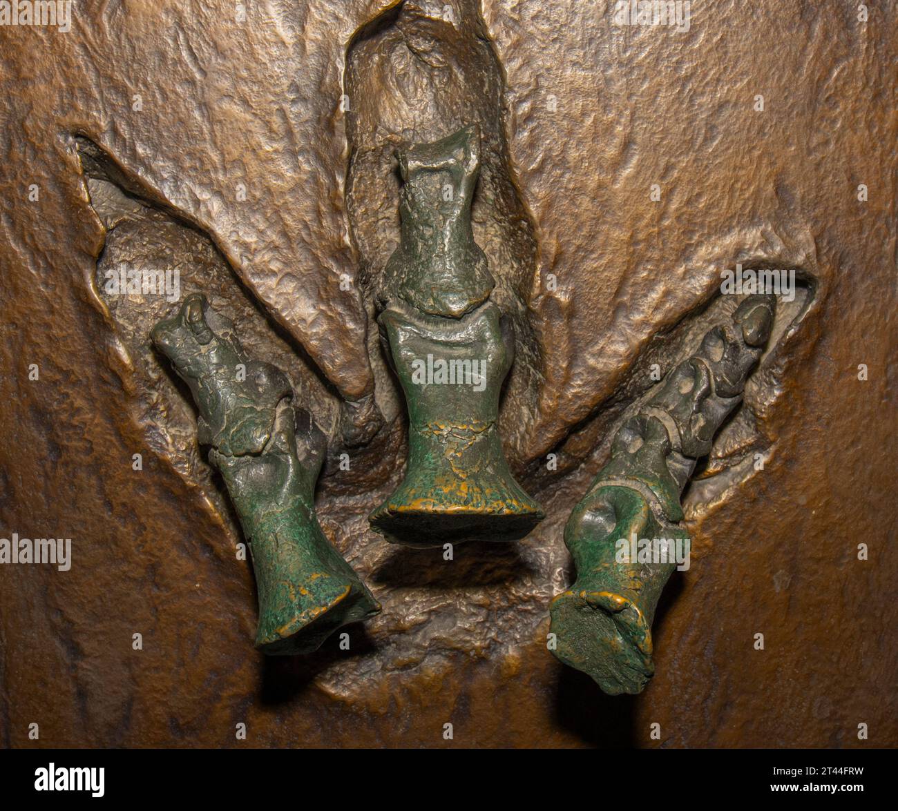 Allosaurus foot bones (cast Stock Photo - Alamy