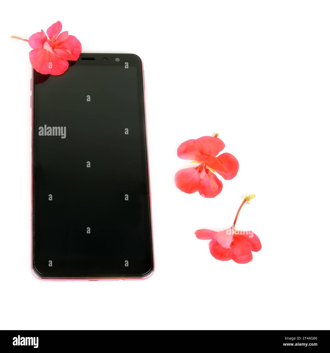 Smartphone in pink case isolated on white background. Free space for ...