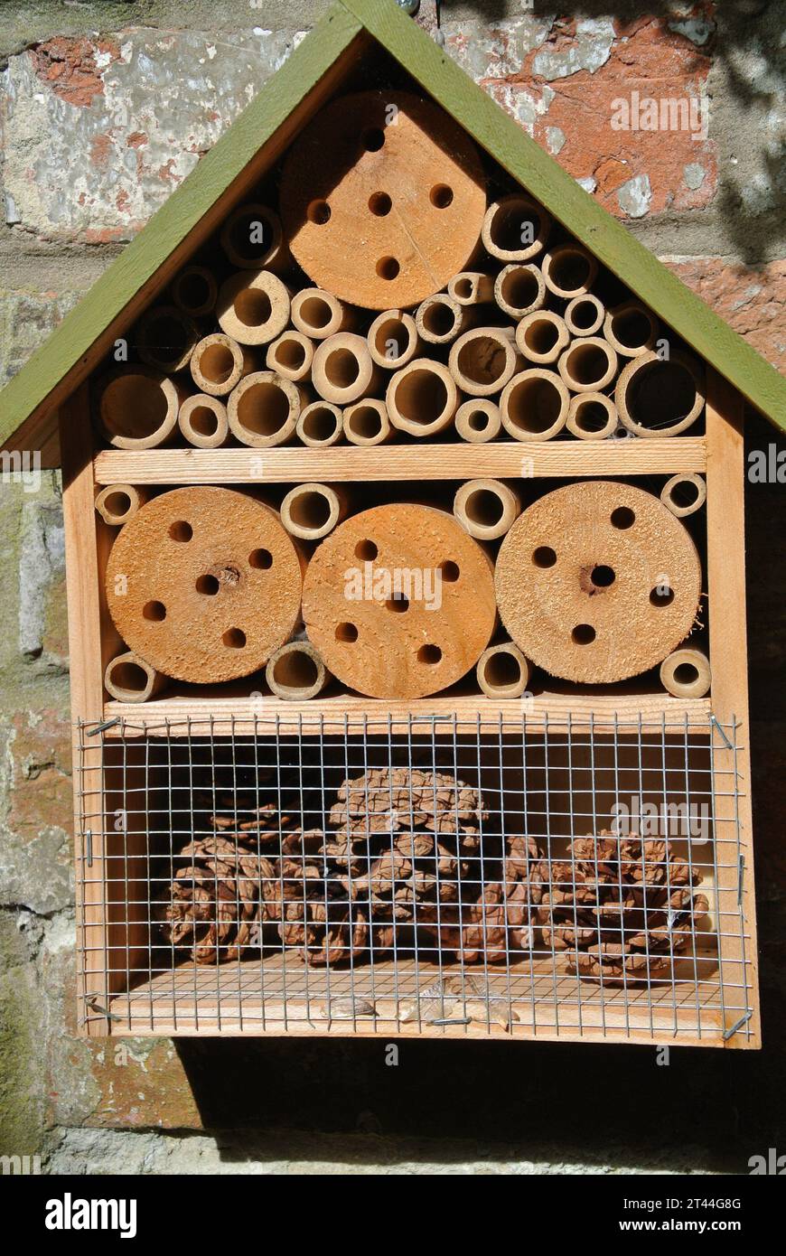 Courtyard garden bug box, with pine cones Stock Photo - Alamy