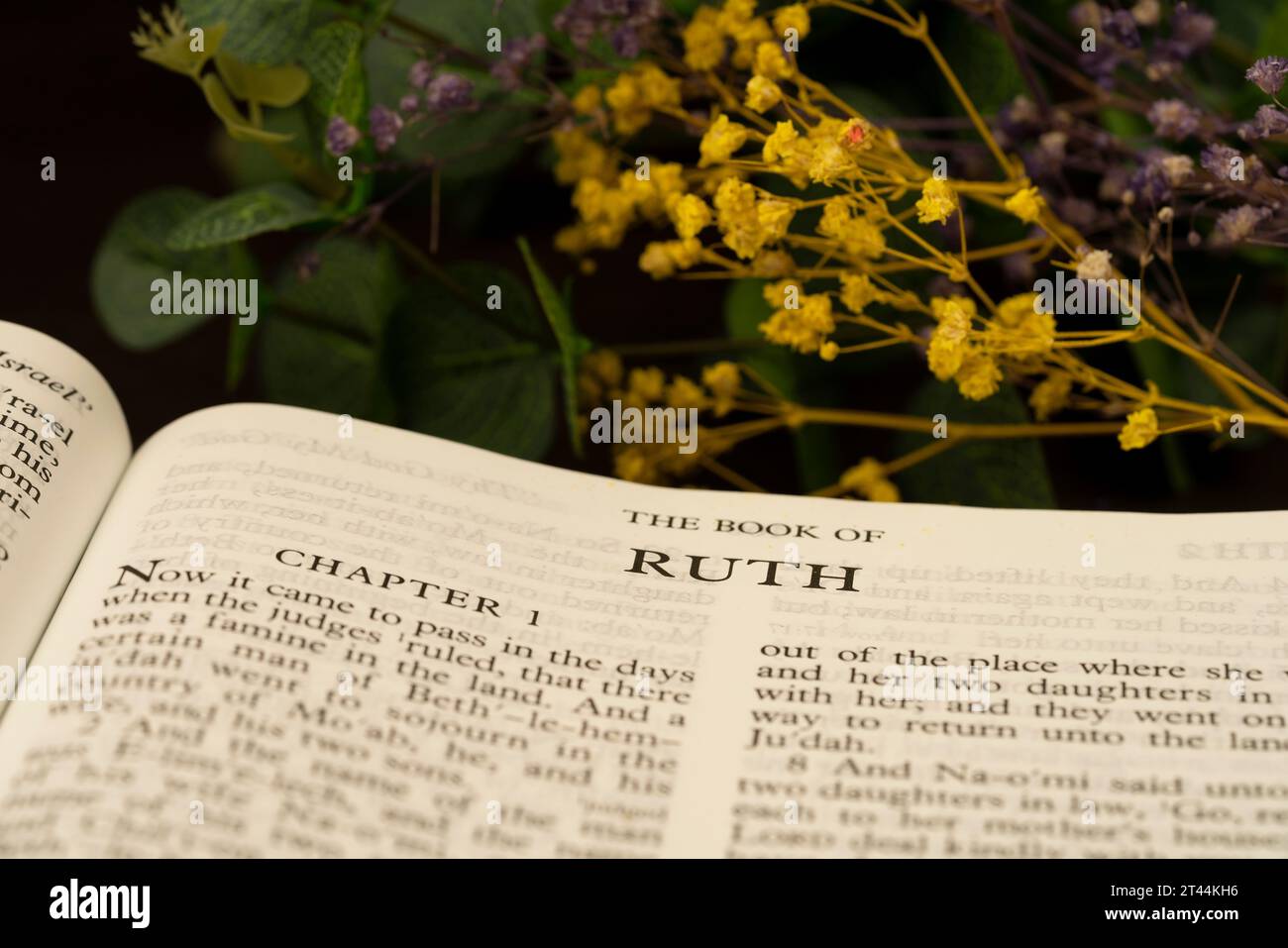 The book of samuel holybible for background and inspiration of old ...