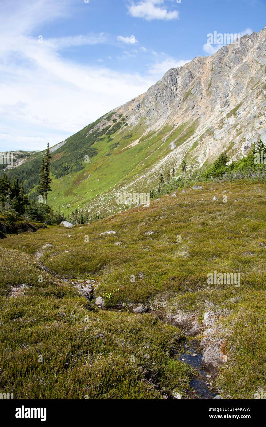 The scenic view of a little spring flowing down the hill to Upper Dewey ...