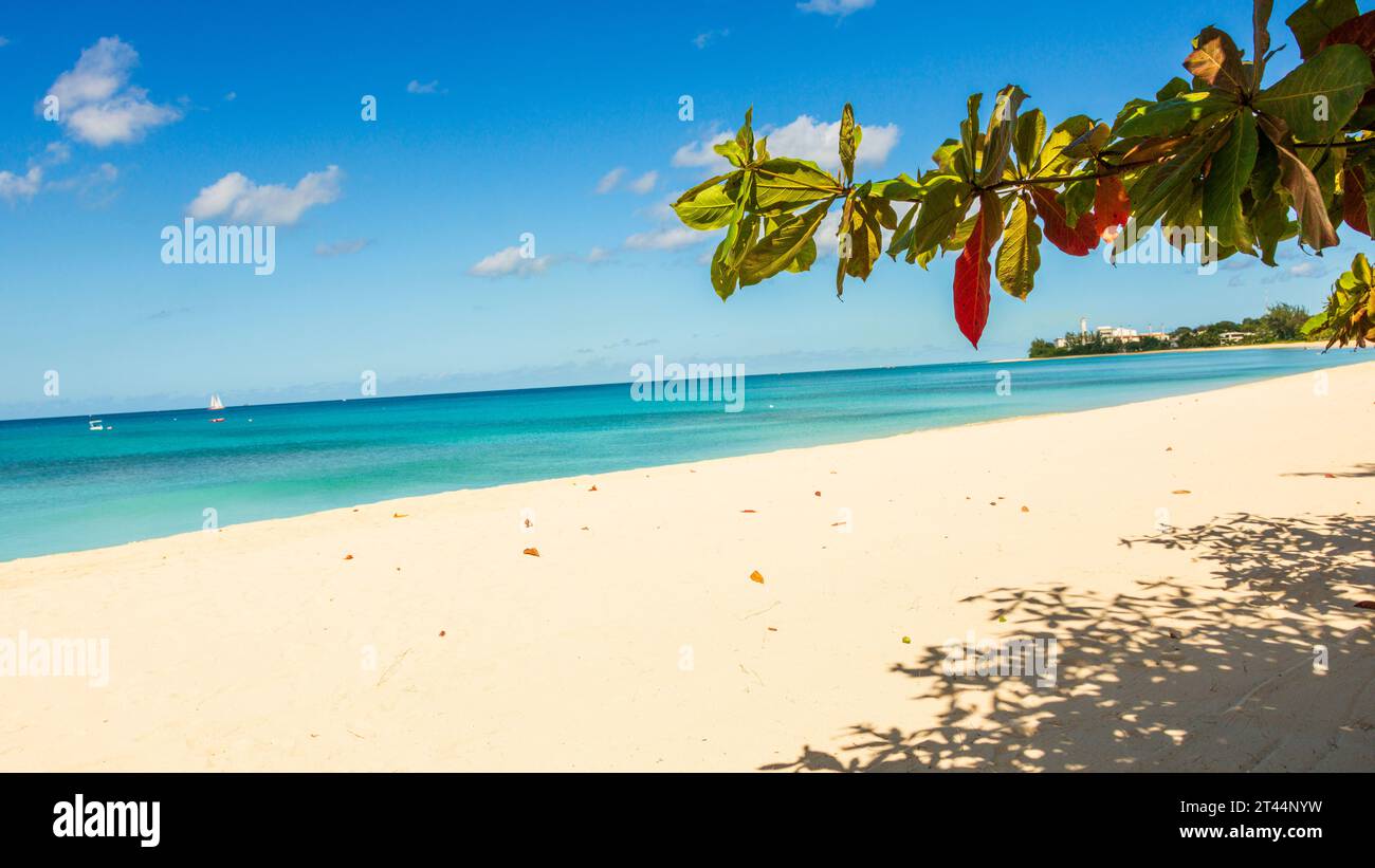 Barbados Island's Sandy Paradise Beach, Caribbean Island Stock Photo ...