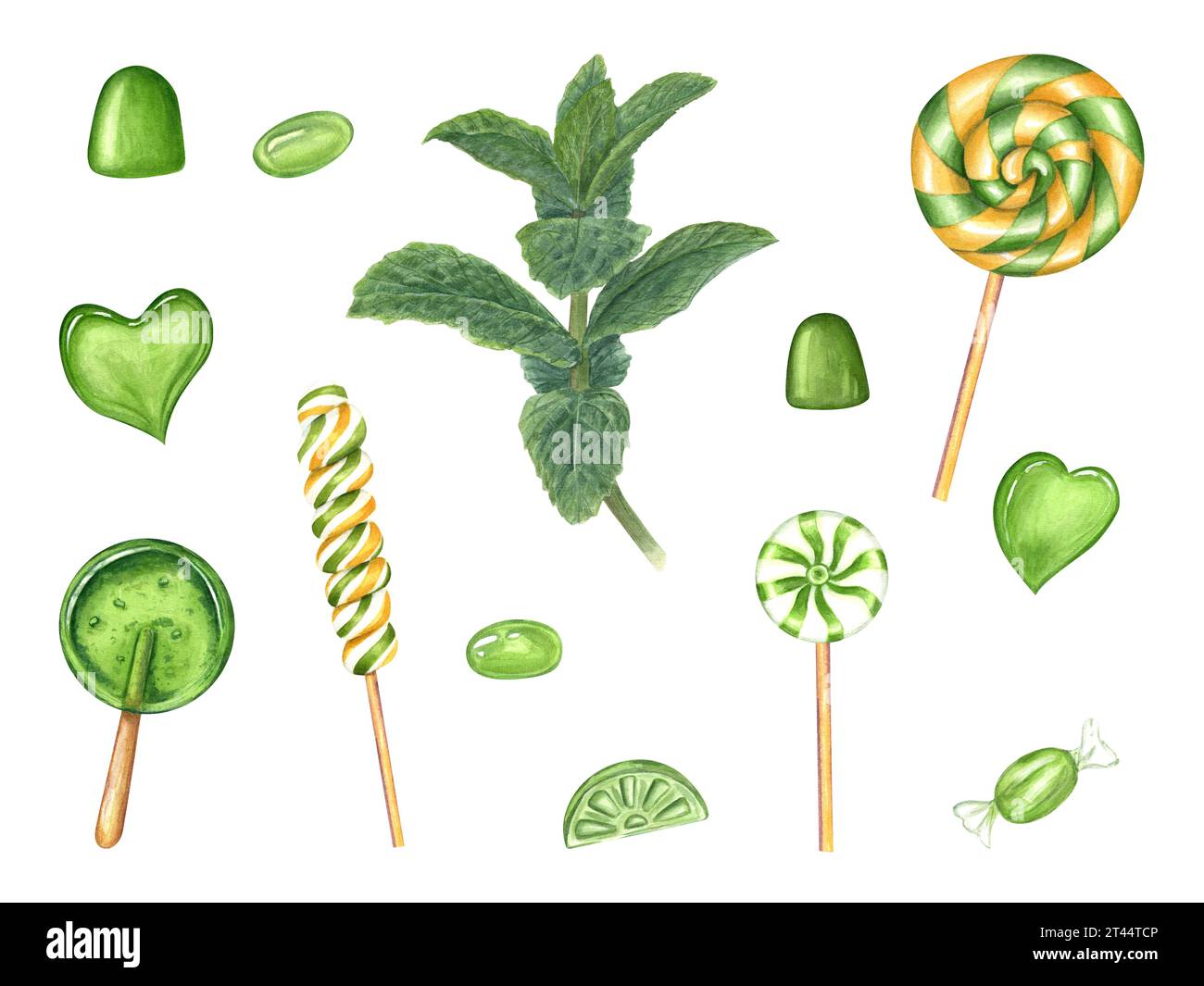 Set of peppermint caramels, mint branch. Lollipops in the shape of ...