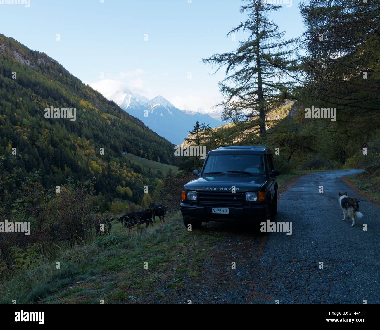 Car land rover hi-res stock photography and images - Alamy