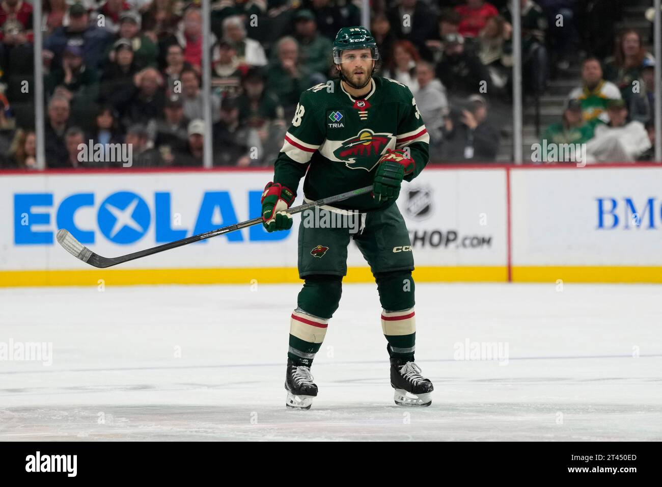 Minnesota Wild right wing Ryan Hartman (38) stands on the ice during ...