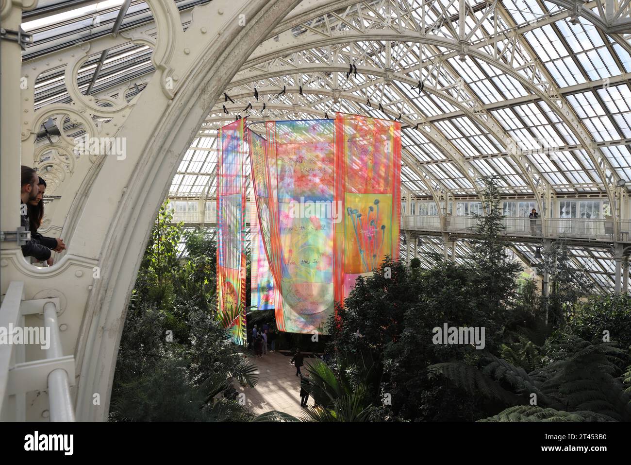 Inside the Temperate House at Kew Gardens, transformed for October 2023 ...