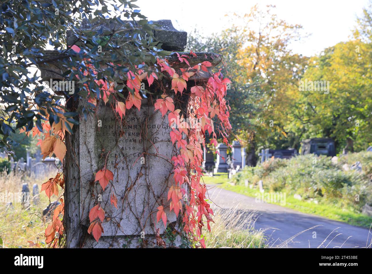 Autumn tints in historic Brompton Cemetery, which was first consecrated ...