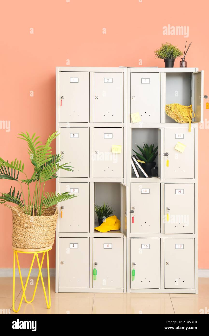 Modern locker with books and plants near pink wall Stock Photo - Alamy