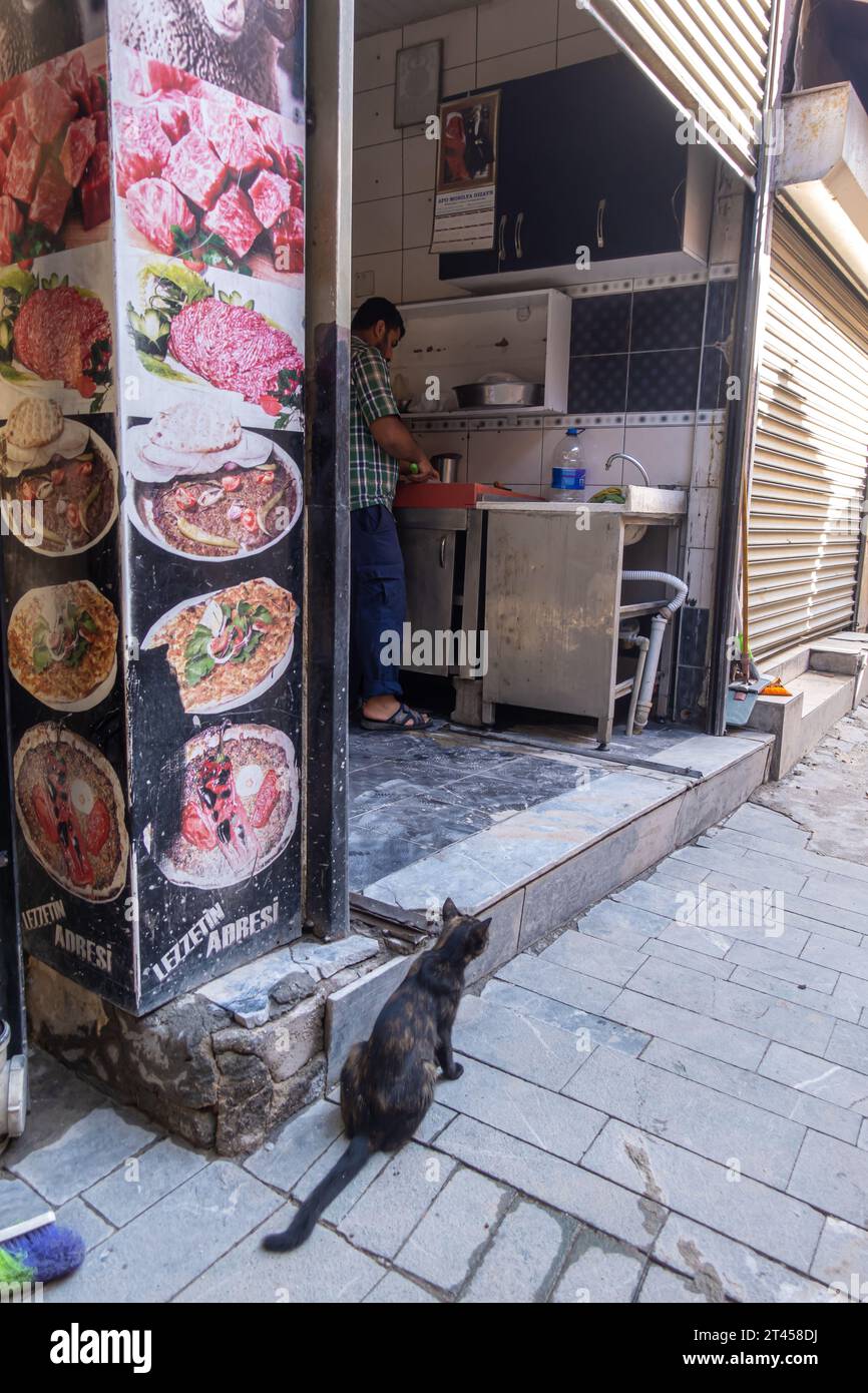 Street cat at the fast food kebab kebap shop in Antakya Turkey Stock ...
