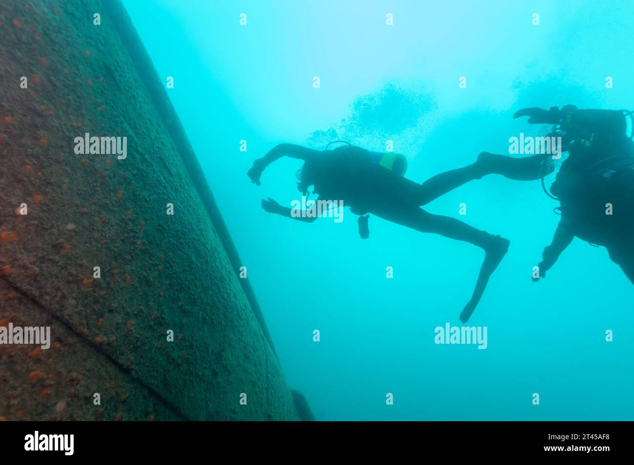 Two SCUBA divers exploring shipwreck remains, silhouettes from below ...