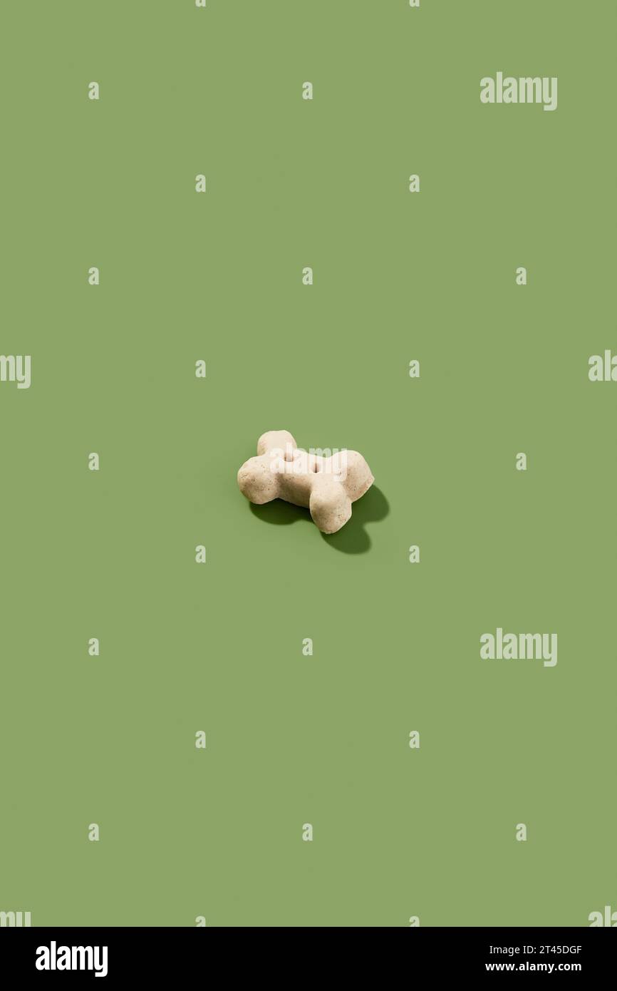 Dry dog food on green background. Healthy organic nutrition in bone ...