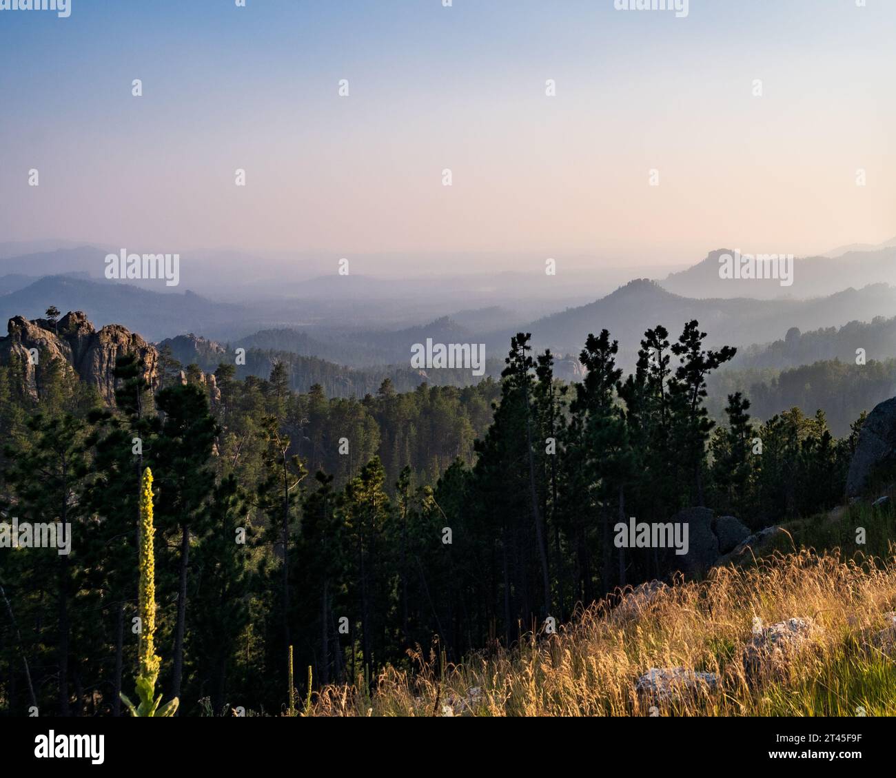 Hazy View of Black Hills in Custer State Park Stock Photo - Alamy