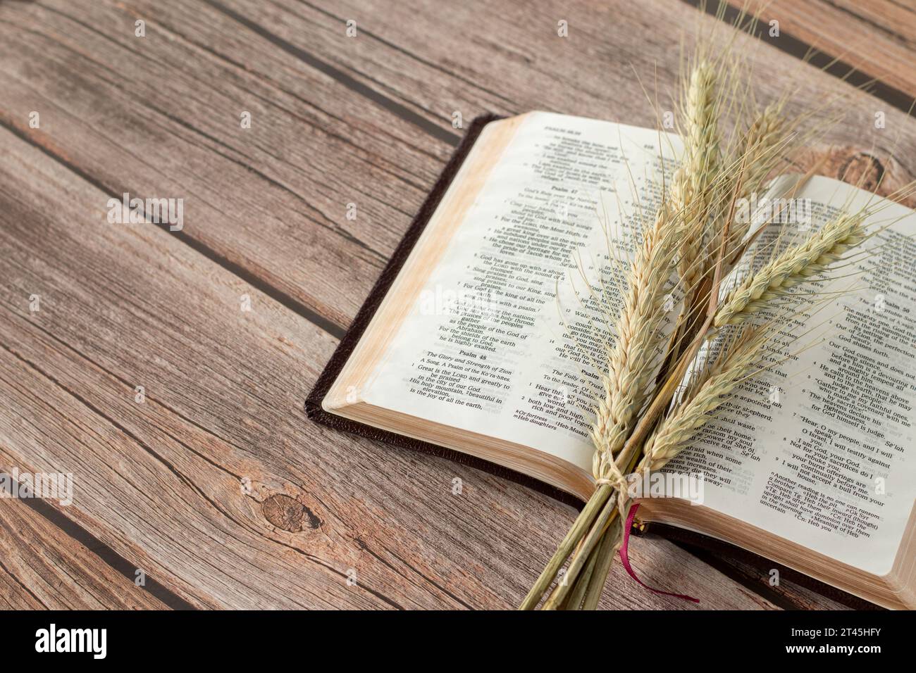 Wave sheaf offering hi-res stock photography and images - Alamy