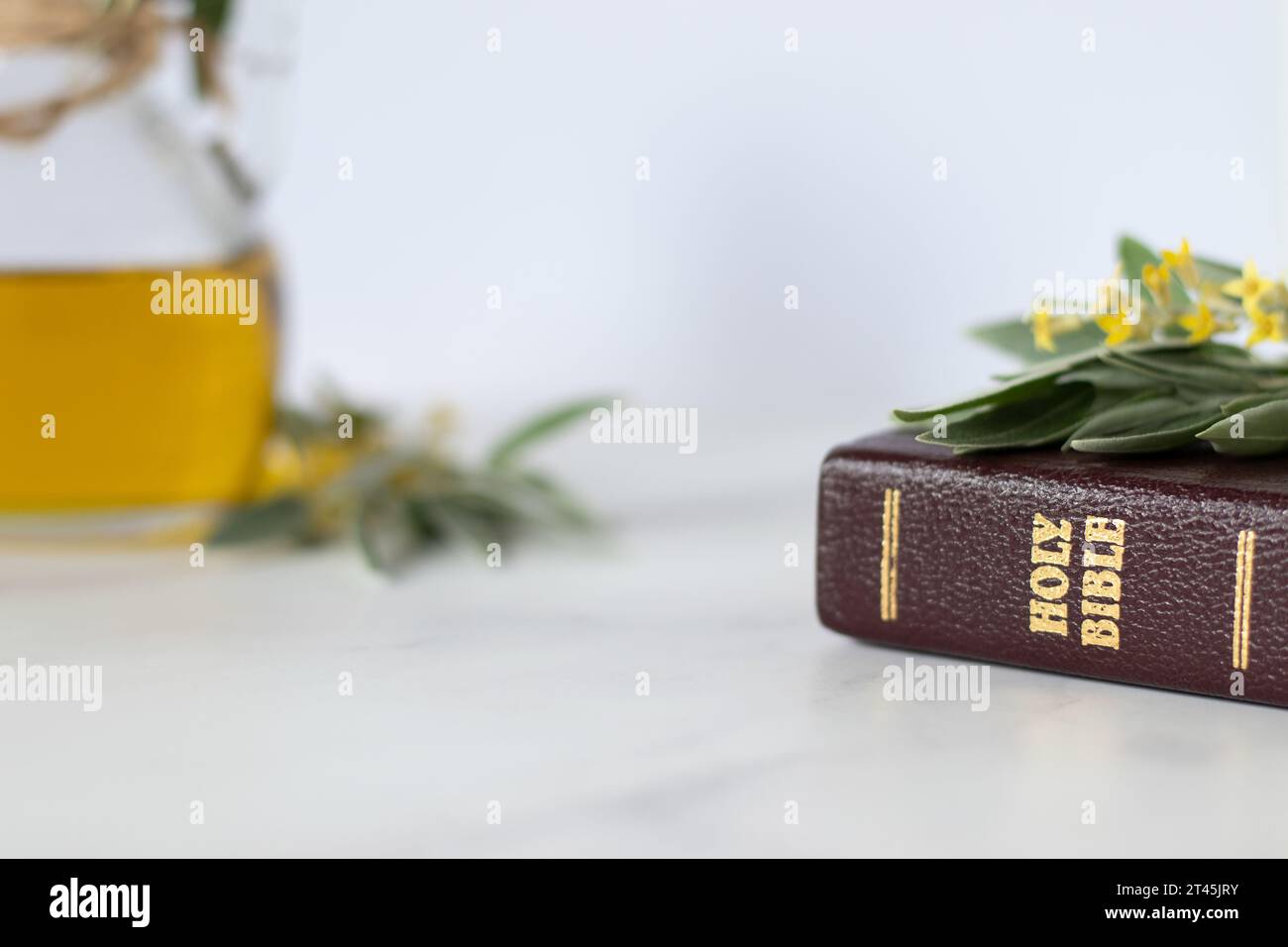 Closed holy bible book with green olive branch and glass bottle with ...
