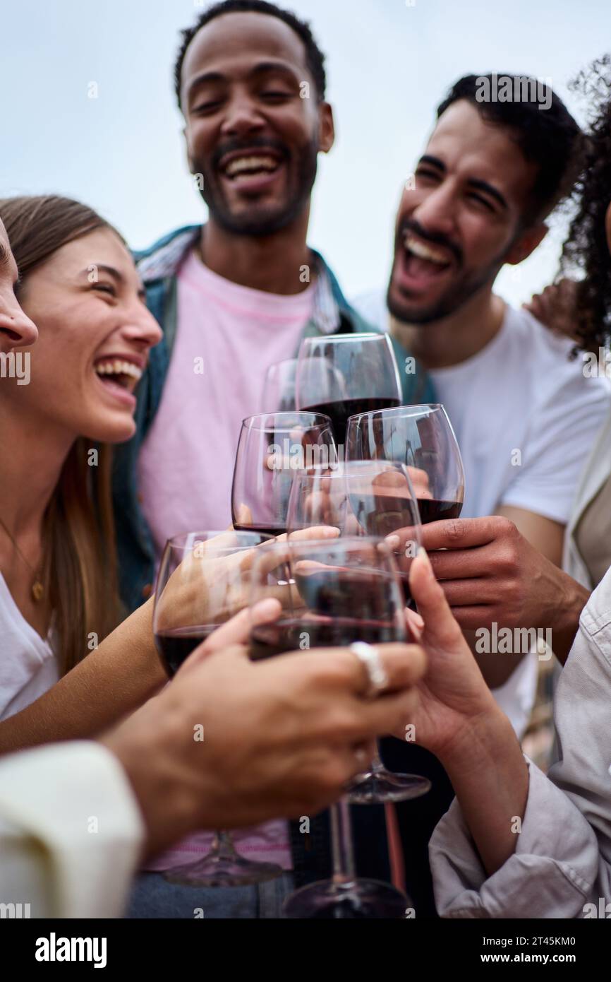 Vertical group multiracial excited friends toasting red wine ...
