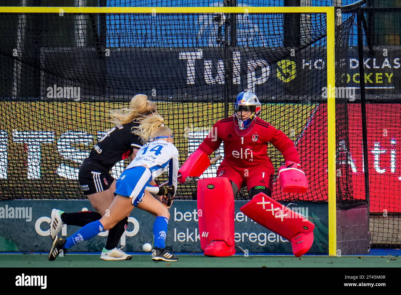 Iris de kemp hi-res stock photography and images - Alamy