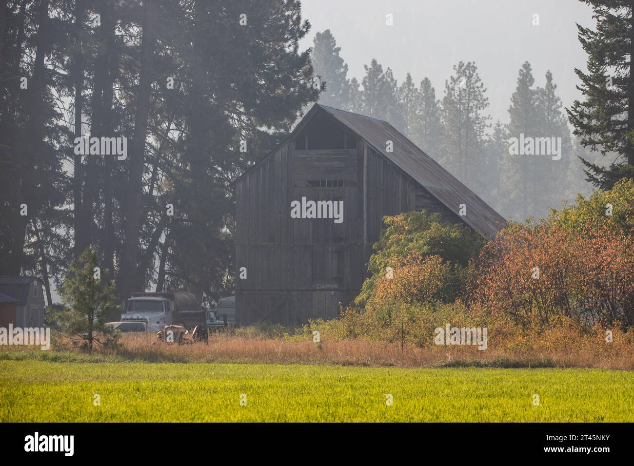 Plain WA USA Sept 14 2023: Old Log Barn in background is haze from a ...