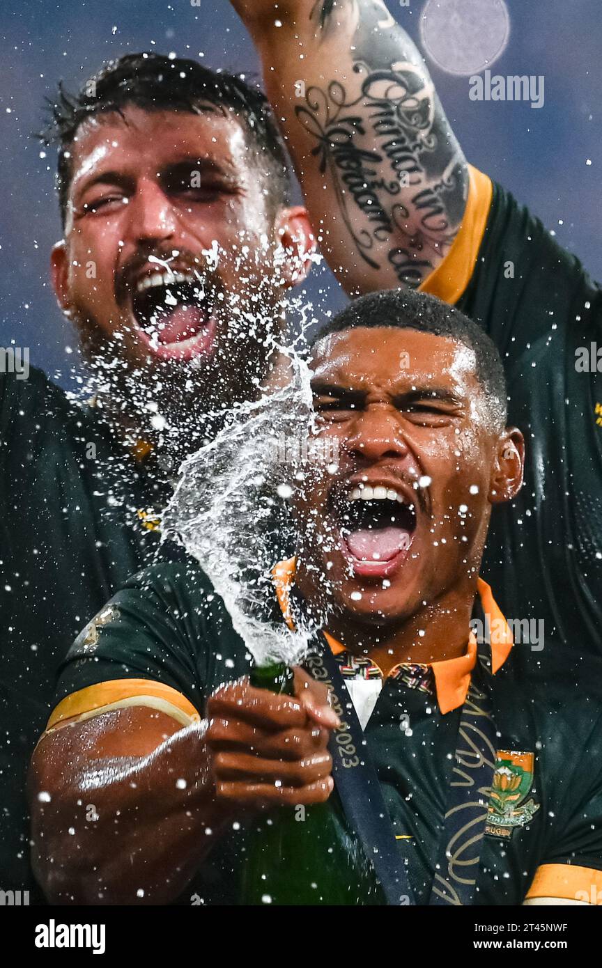Springboks rugby 2020 hi-res stock photography and images - Alamy