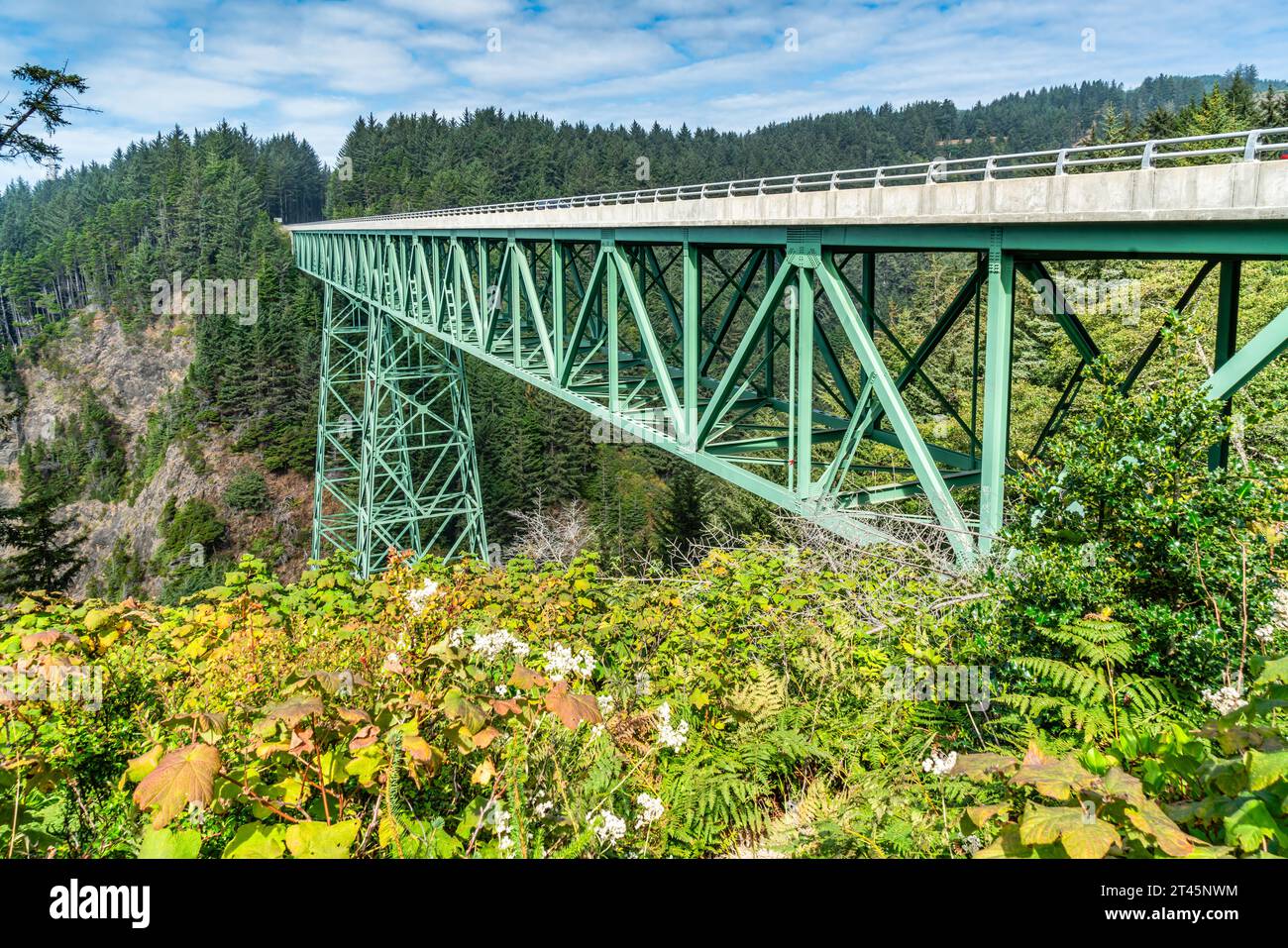 Highway 101 crosses this bridge on the south part of the Oregon Coast ...