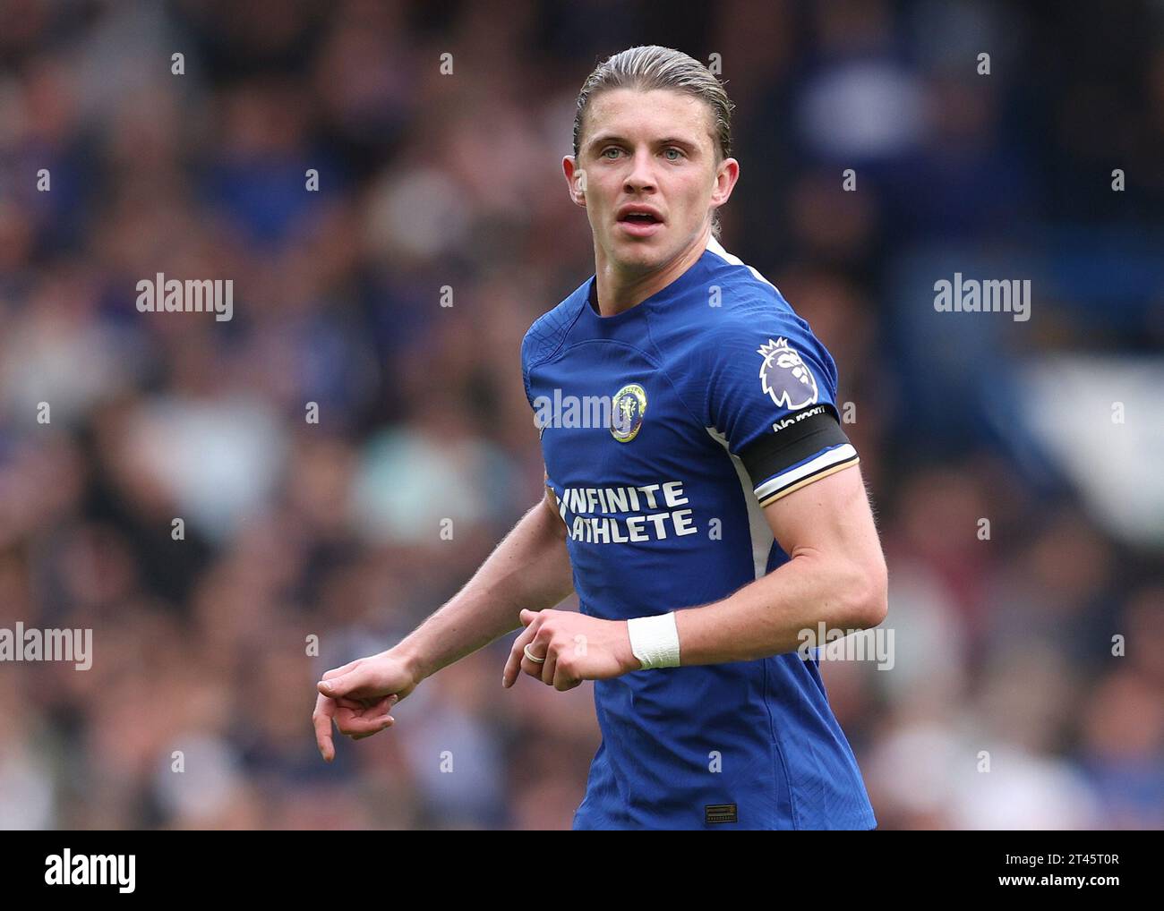Chelsea brentford gallagher hi-res stock photography and images - Alamy