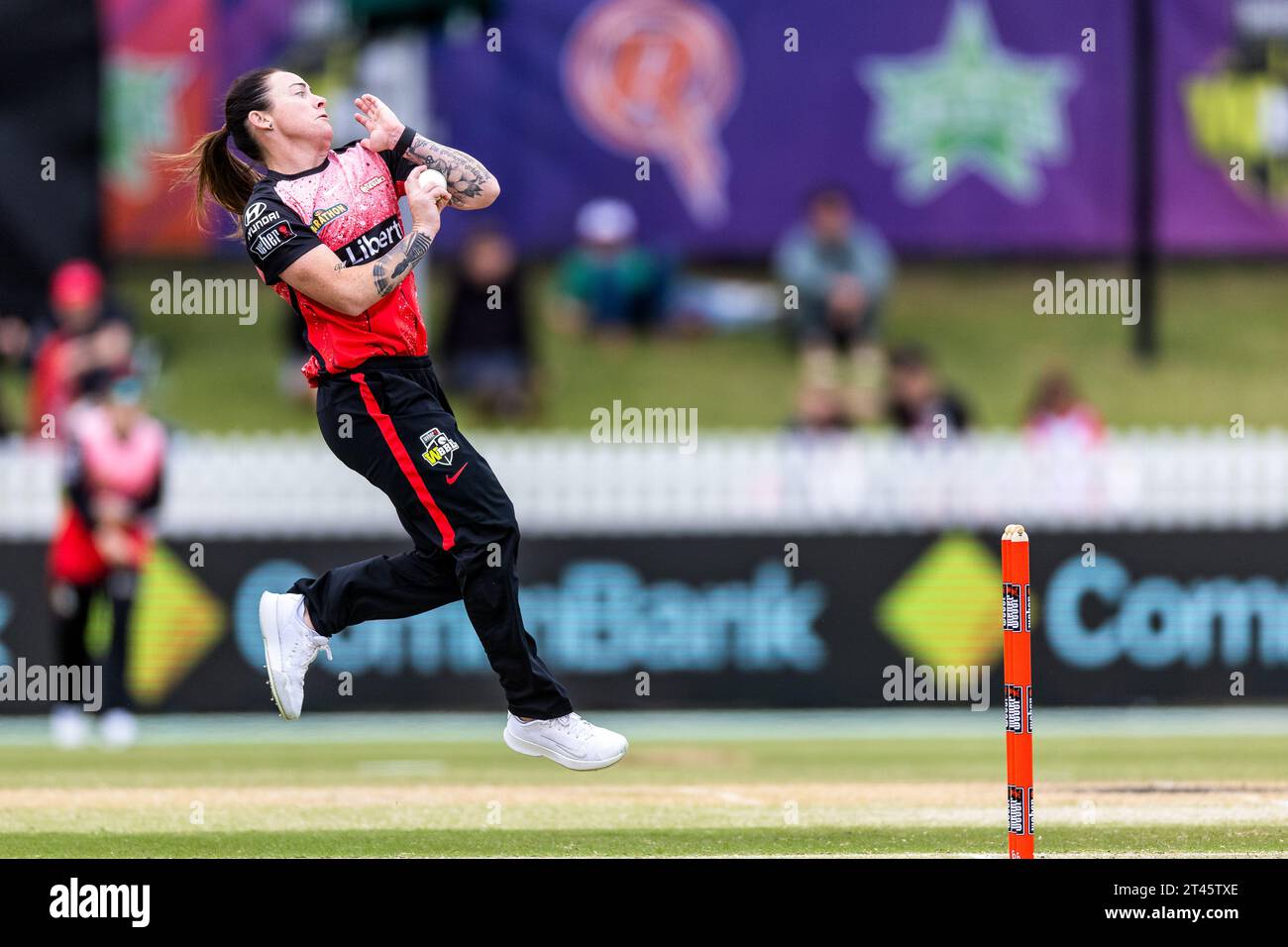 Sarah coyte hi-res stock photography and images - Alamy