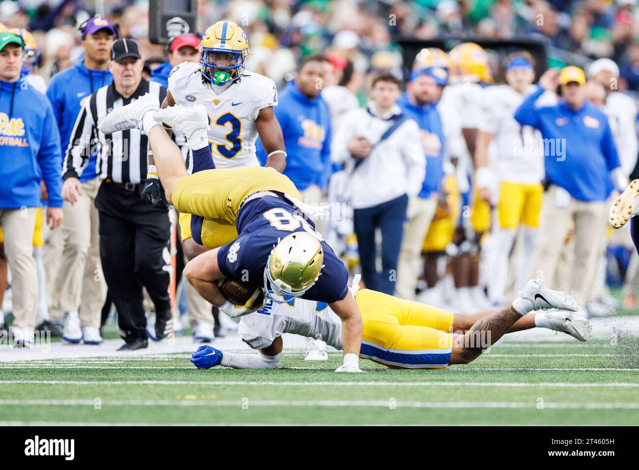 South Bend, Indiana, USA. 28th Oct, 2023. Pittsburgh defensive back ...