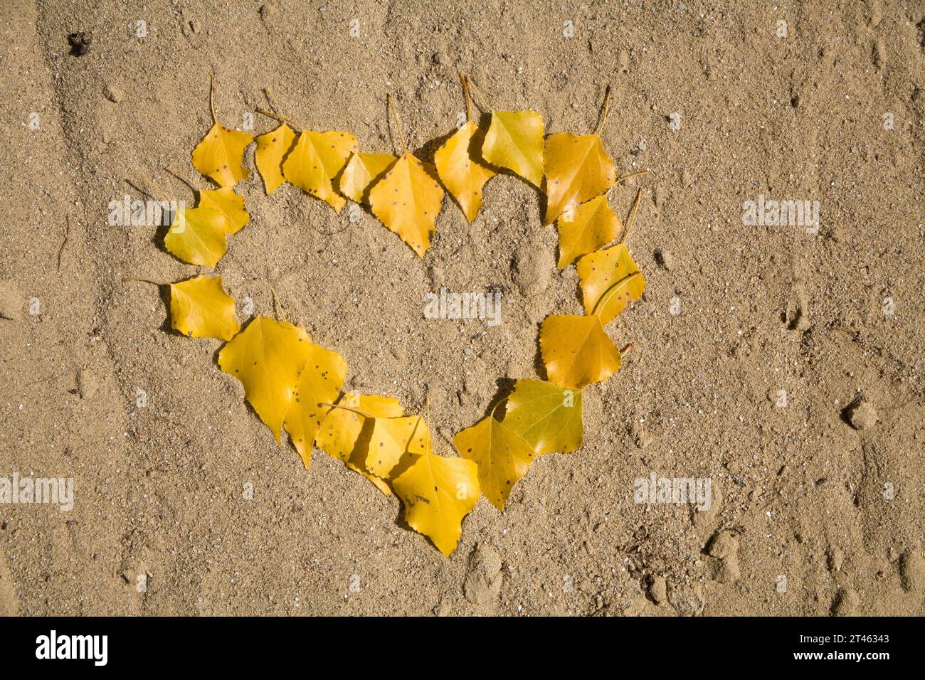 The heard symbol - autumn Stock Photo - Alamy