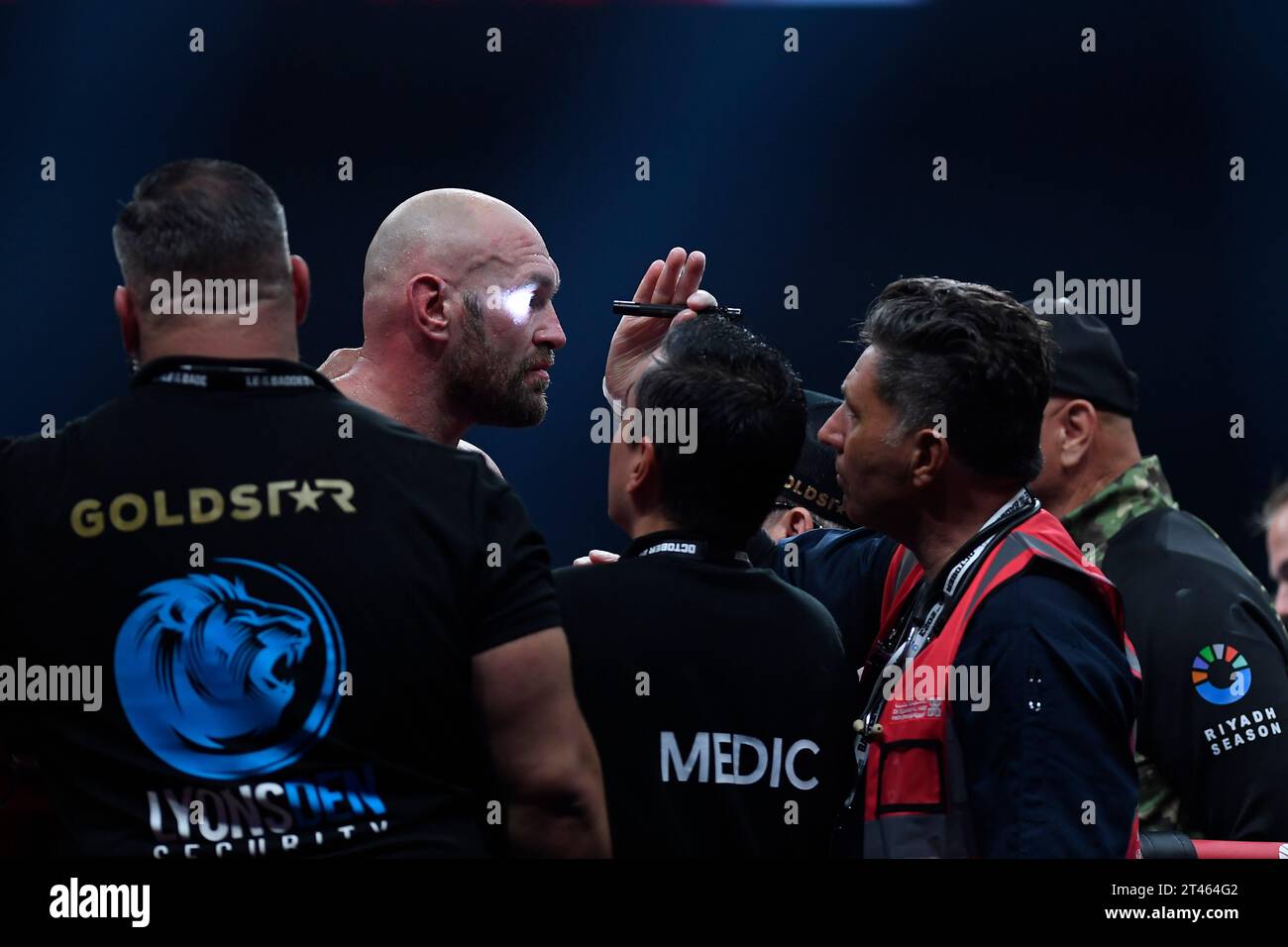 Tyson Fury, of England, the WBC and lineal heavyweight champion, is ...