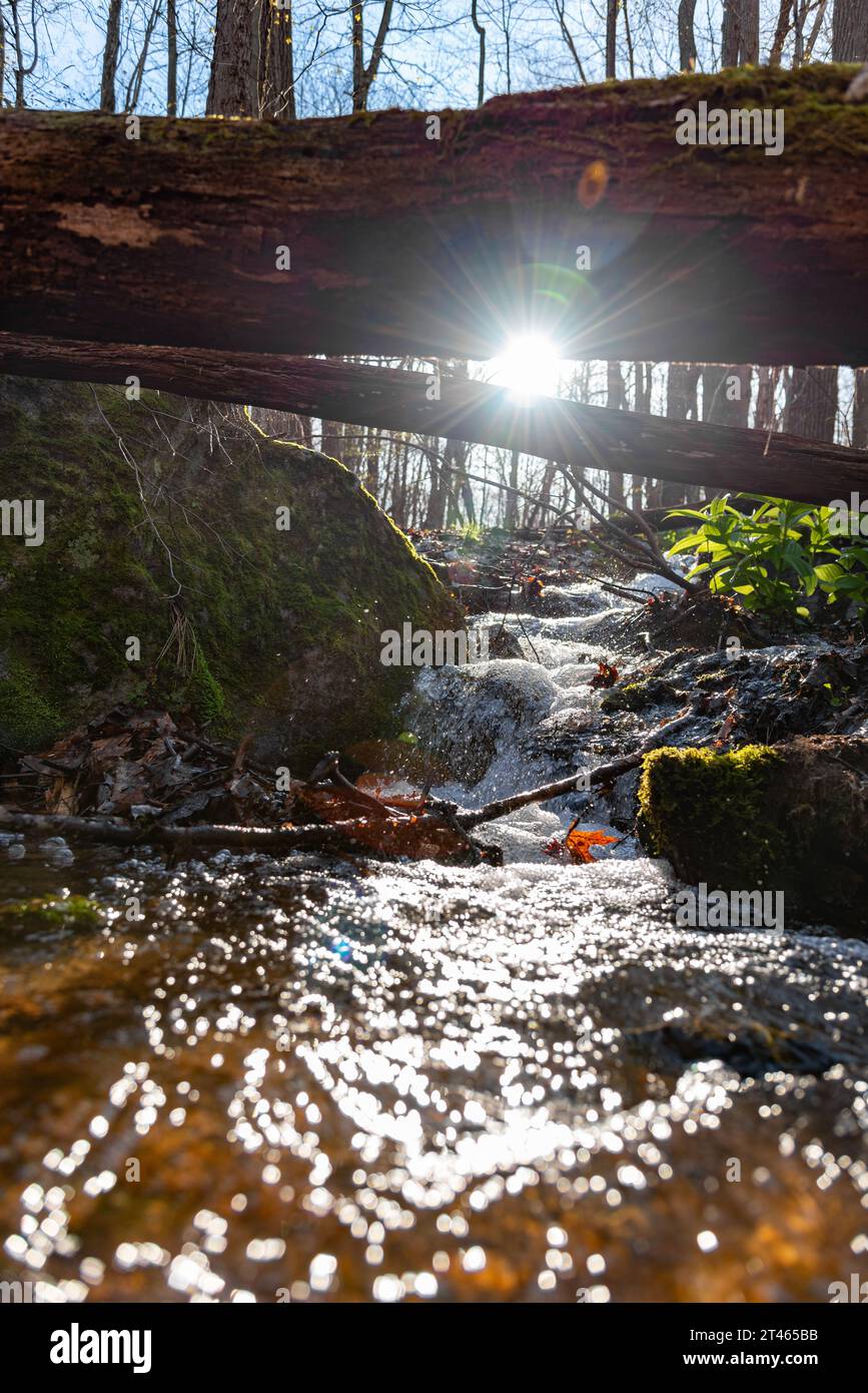 Fresh water freed from the grip of winter cascade down a narrow alpine ...