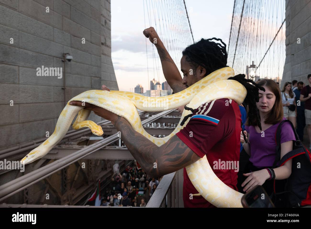 Albino boa constrictor on person hi-res stock photography and images ...