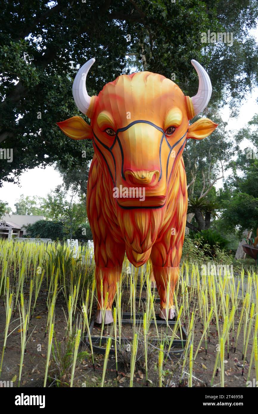 Los Angeles, California, USA 27th October 2023 Zoo Lights Bison at LA ...