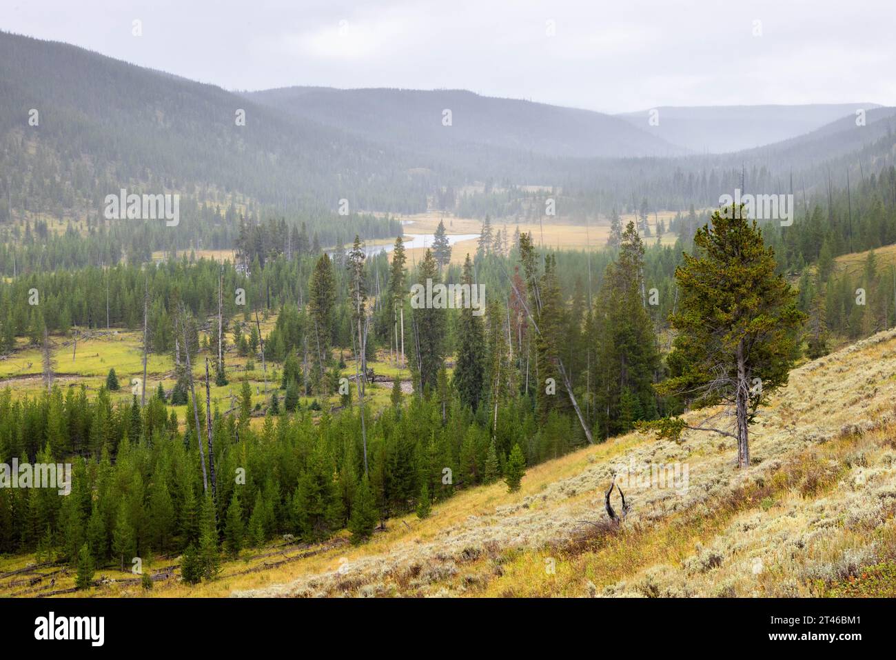 Winter Creek stretching into the distance below hills and the Mount ...