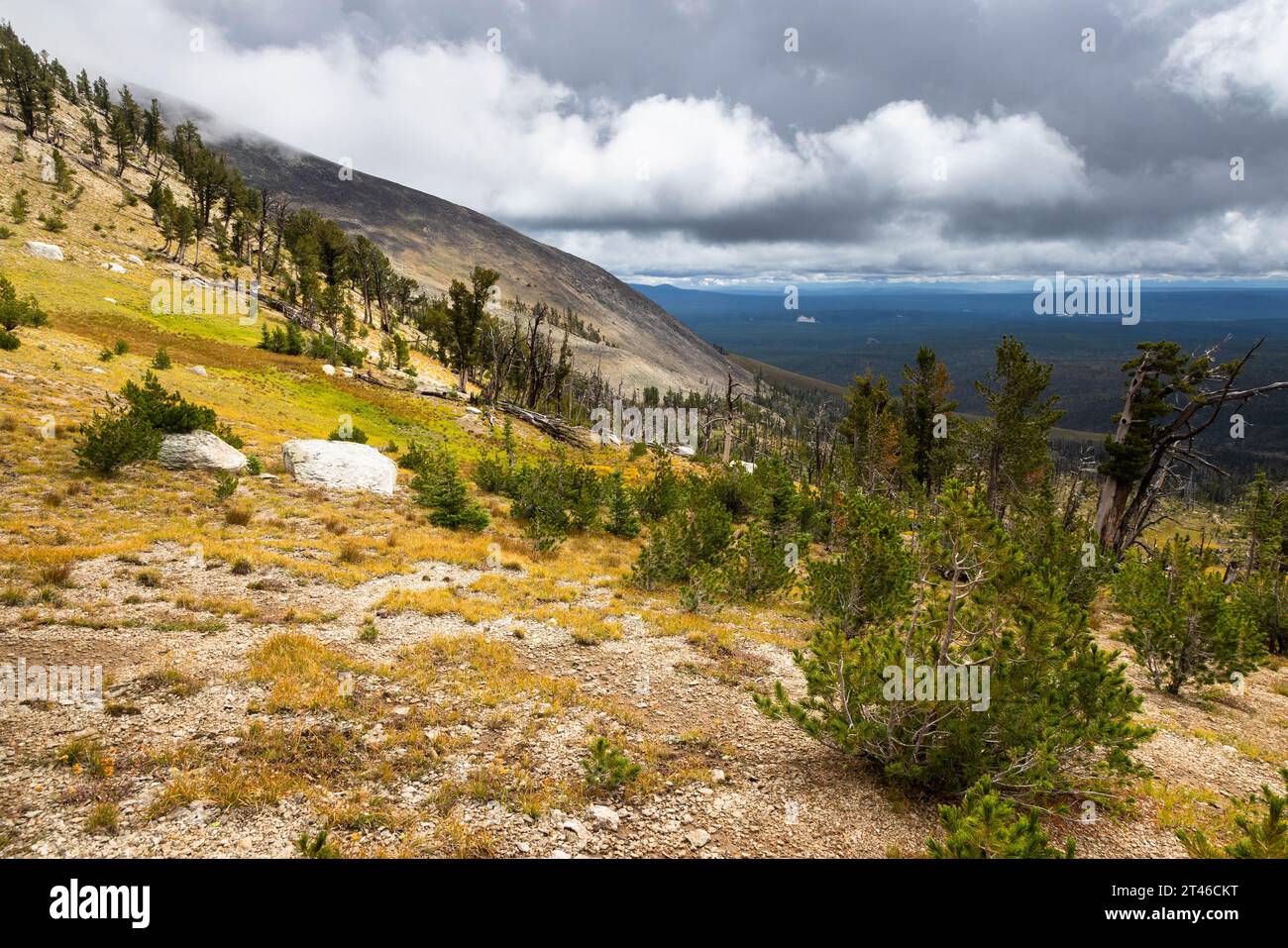 The higher elevations of Mount Holmes dropping steeply to the forests ...