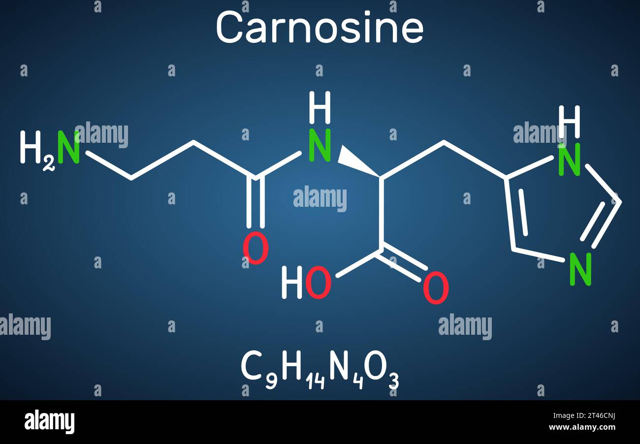 Carnosine dipeptide molecule. It is anticonvulsant, antioxidant, antineoplastic agent, human ...